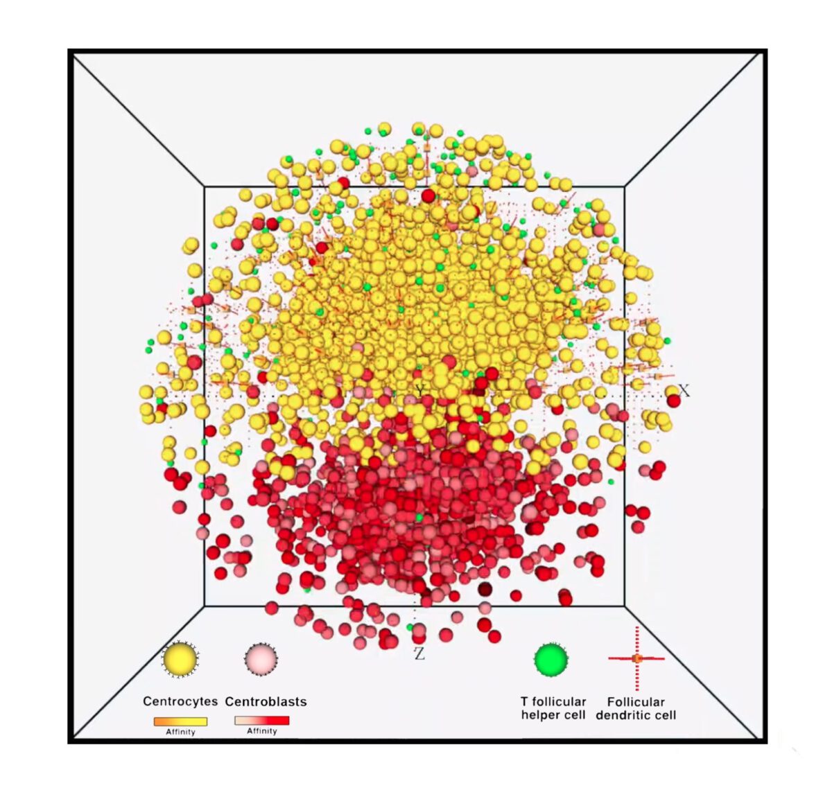 Bioinformatics Laboratory - Medical Bioinformatics